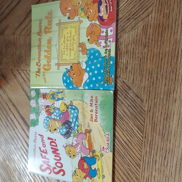 The Berenstain Bears | Other | The Berenstain Bears Book Bundle | Poshmark